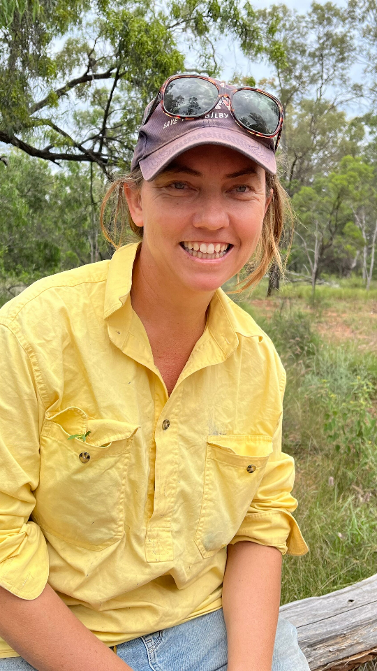 This rare rainforest tree is mass flowering in outback Queensland - ABC ...