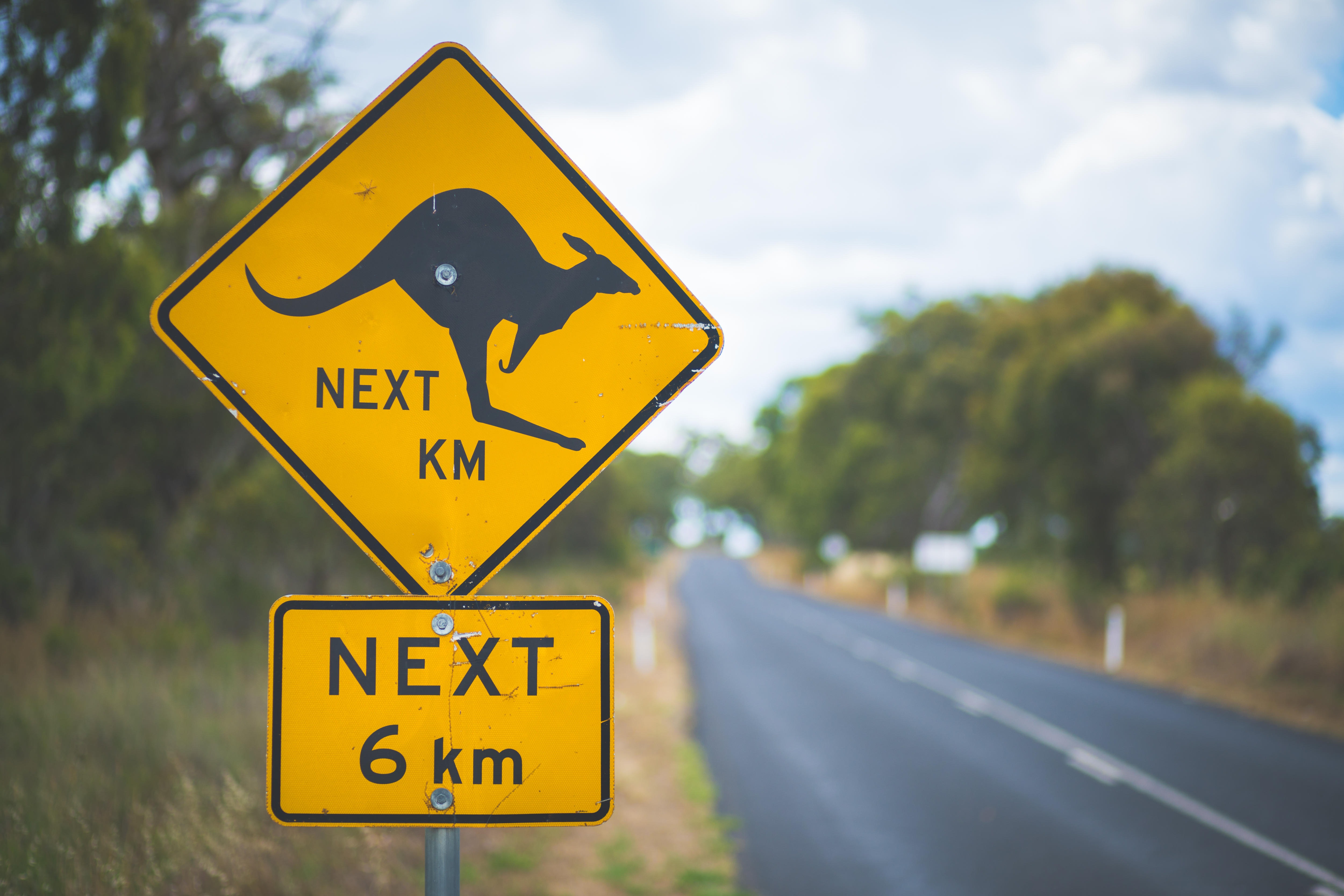 Do 'wildlife ahead' signs actually prevent collisions between cars and ...