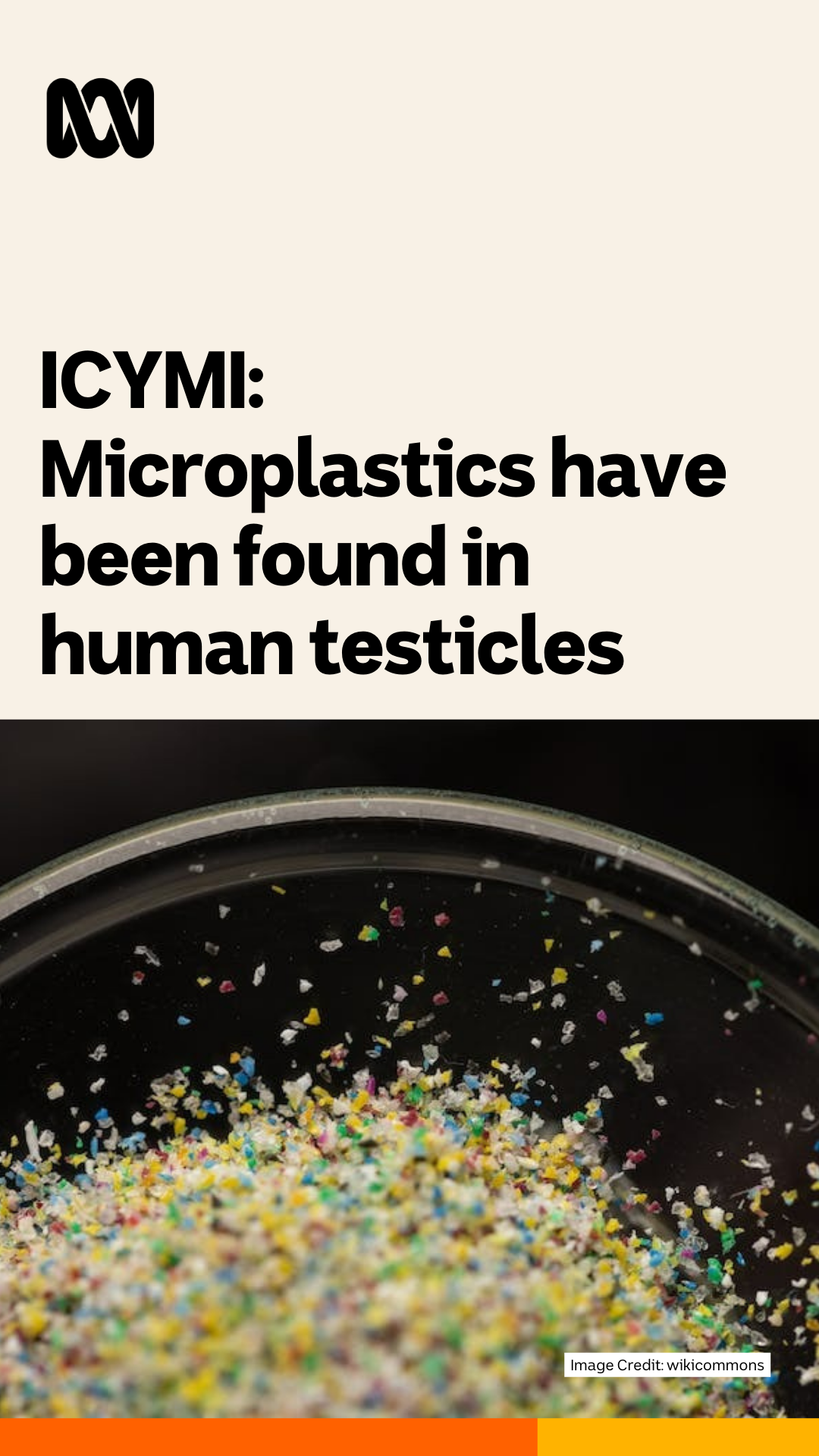 Microplastics Have Been Found In Human Testicles Abc News