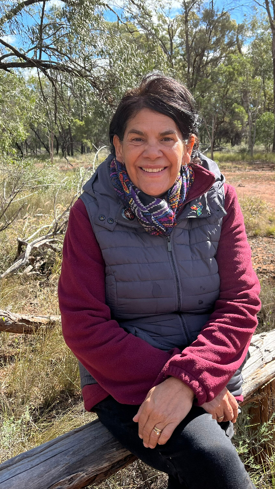 This rare rainforest tree is mass flowering in outback Queensland - ABC ...