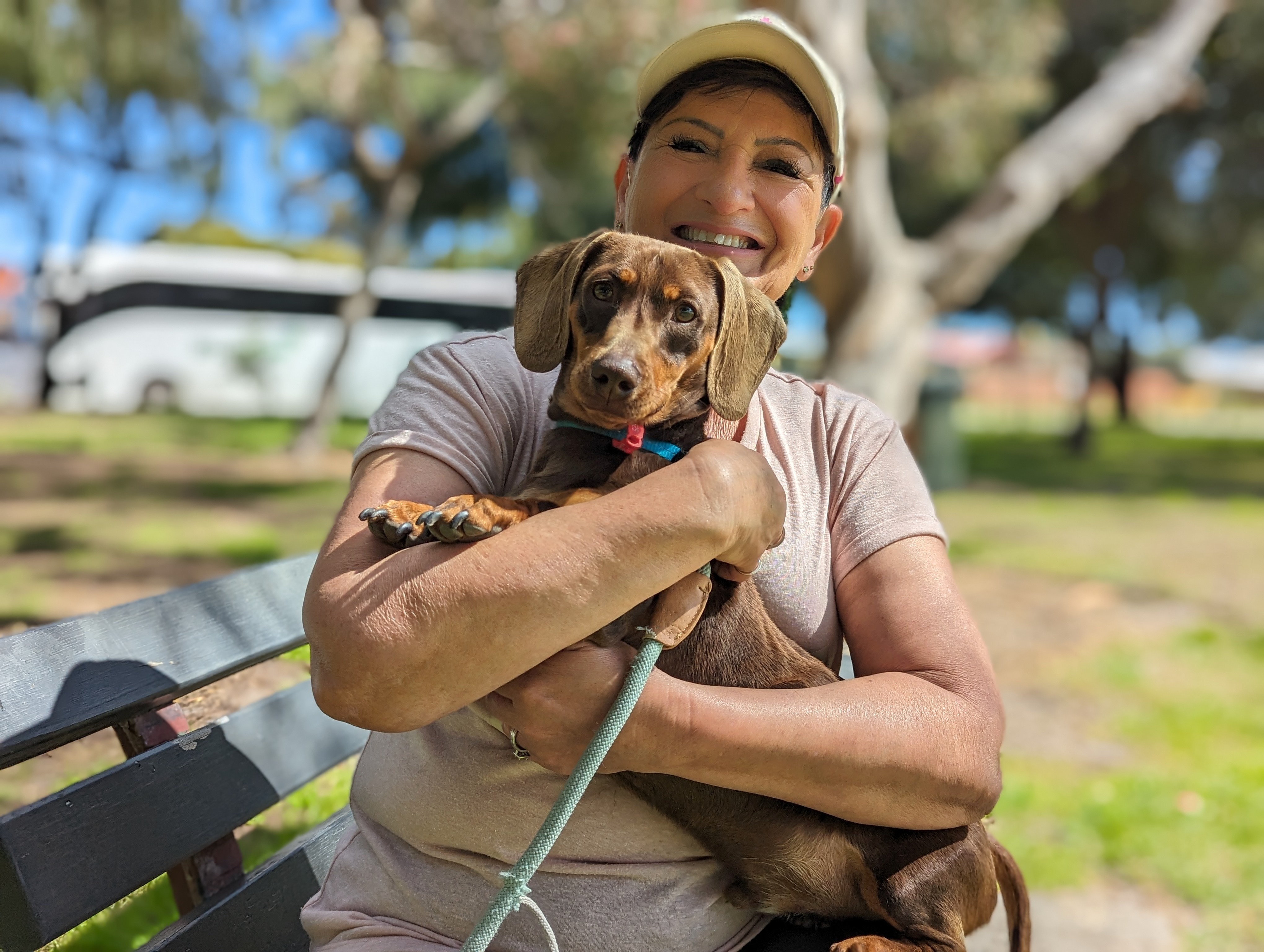 'Dog-sharing' arrangements connect busy owners with petless companions ...