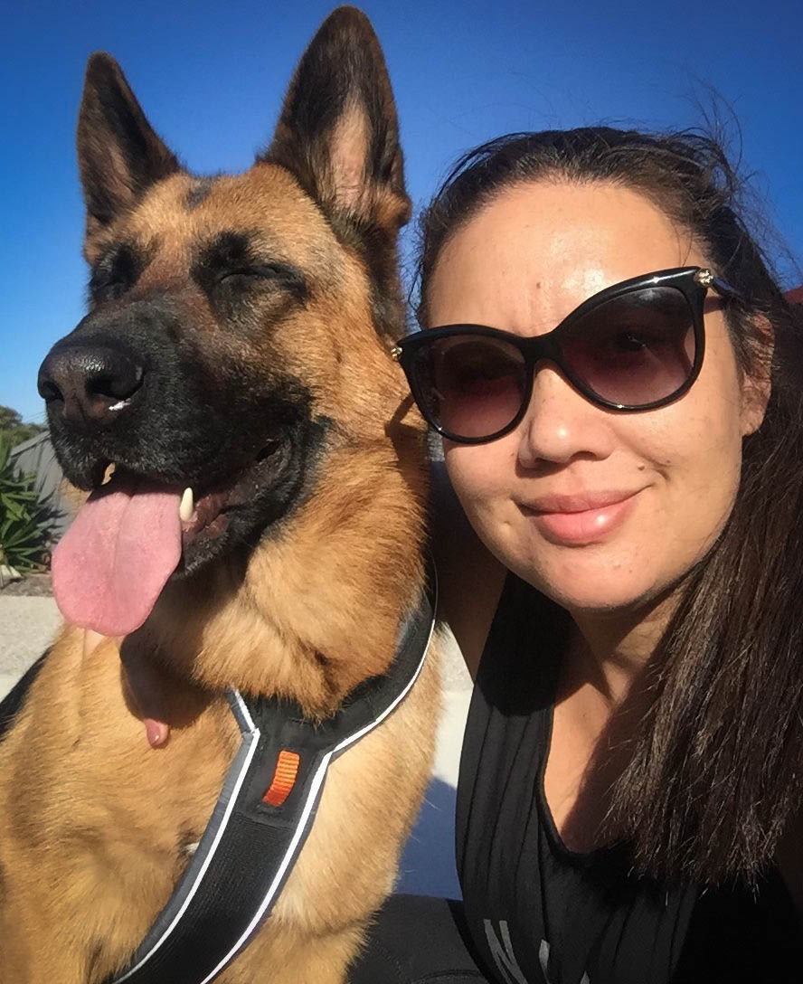 Would you take your pet on a private jet to relocate? - ABC News