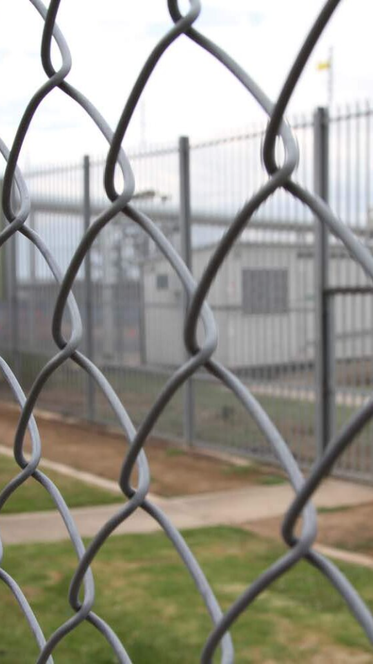 81 asylum seekers released from immigration detention - ABC News