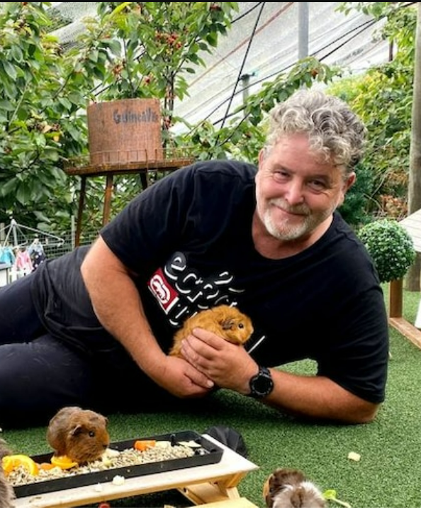 Tasmania's 'tiny town' for guinea pigs a TikTok sensation - ABC News