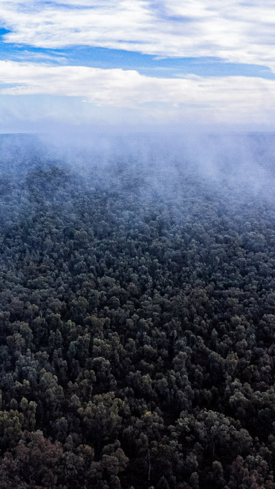Gomeroi people file Native Title appeal against Santos Narrabri Gas ...