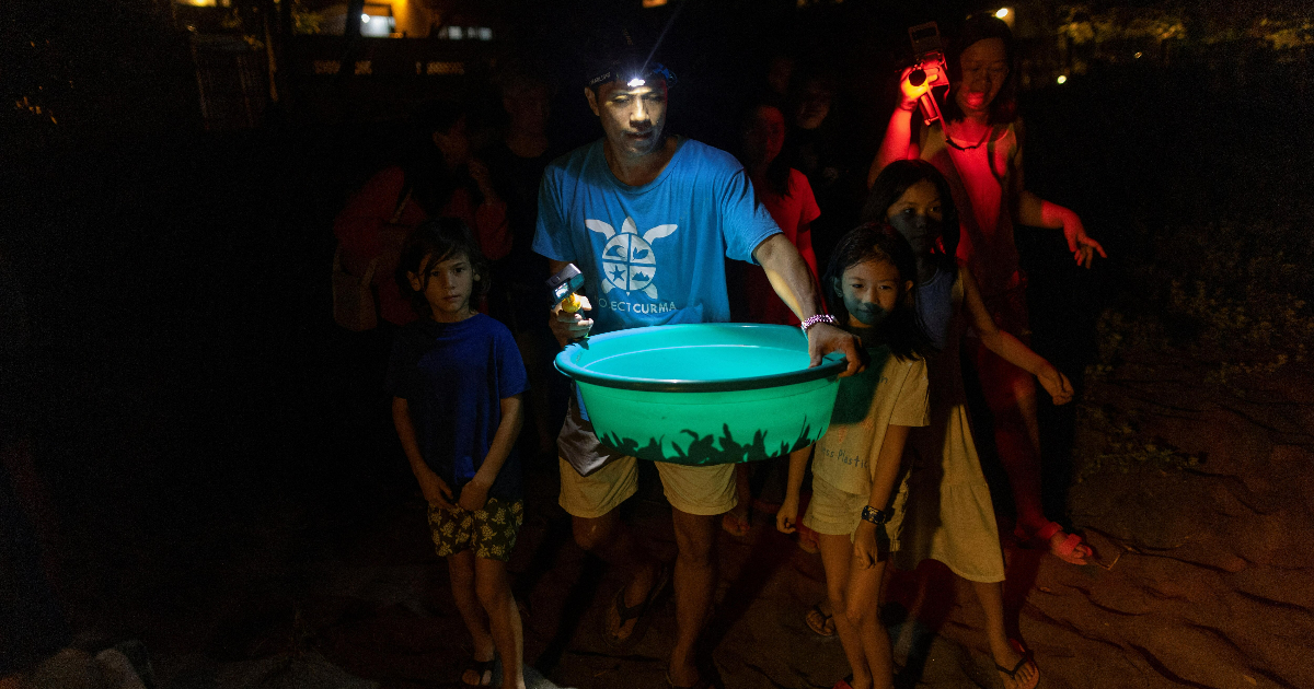 How these sea turtle poachers became their protectors - ABC News