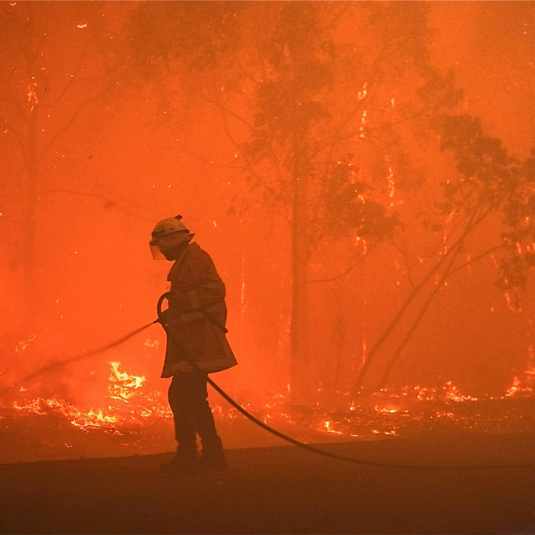 'Above normal' bushfire warnings in national summer outlook from fire ...