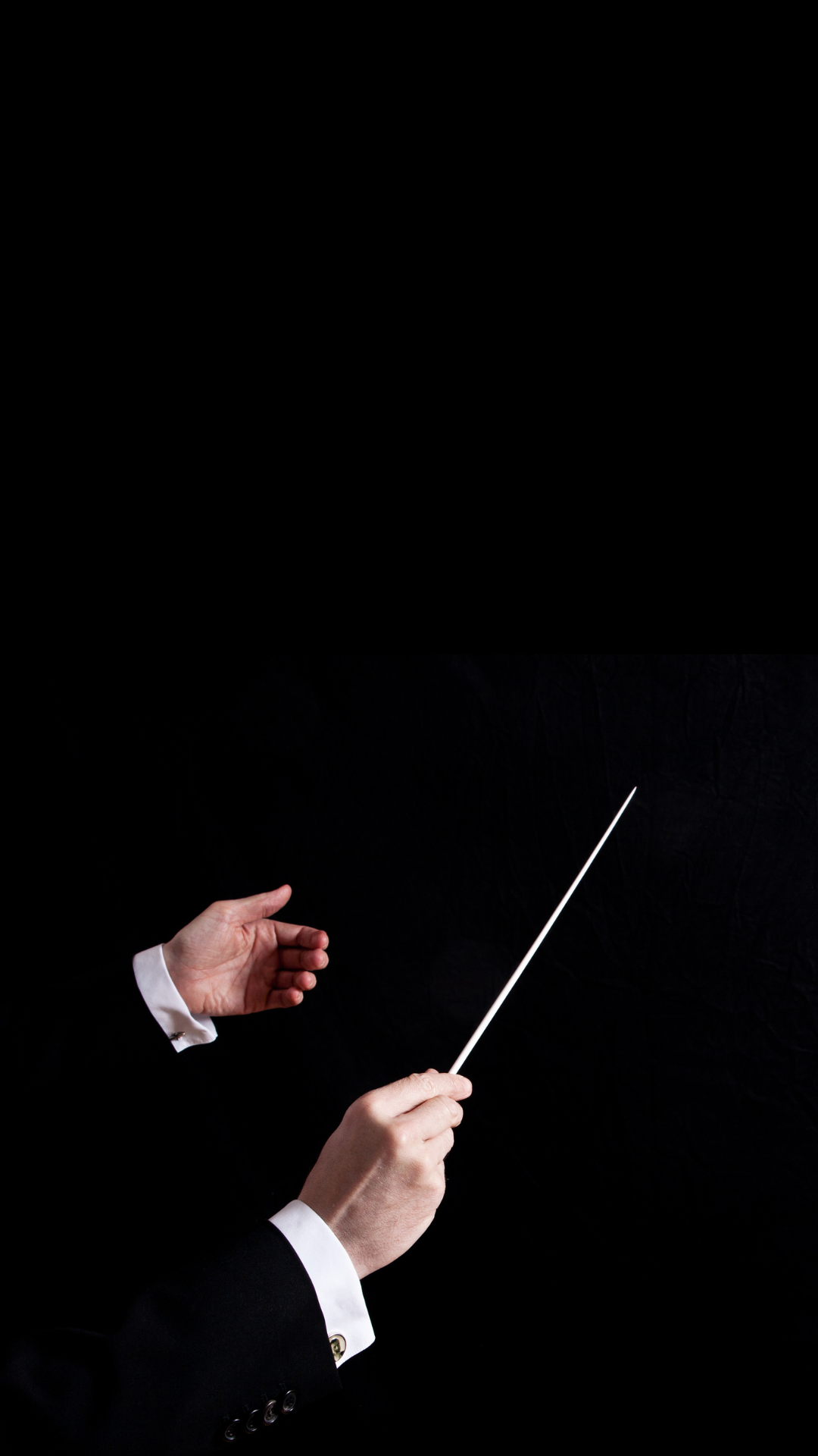 Bluey composer Joff Bush on making music magic - ABC News