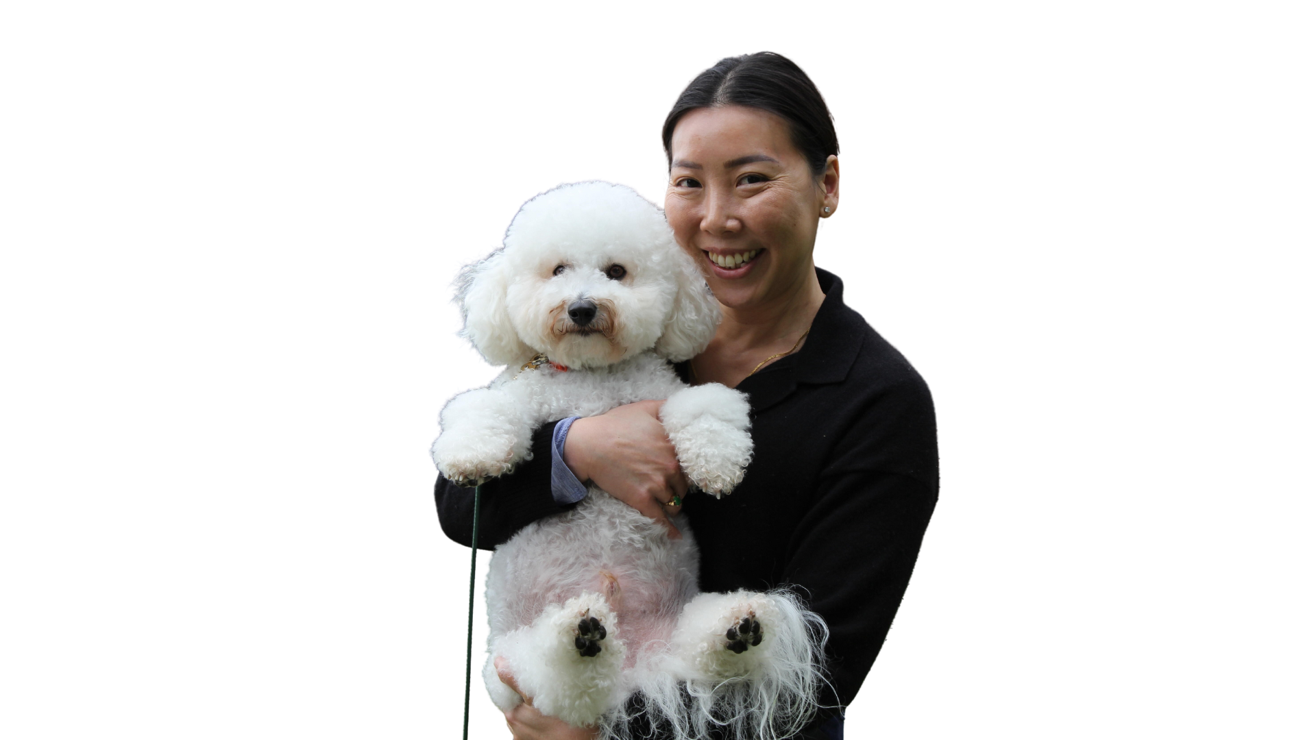 'Dog-sharing' arrangements connect busy owners with petless companions ...