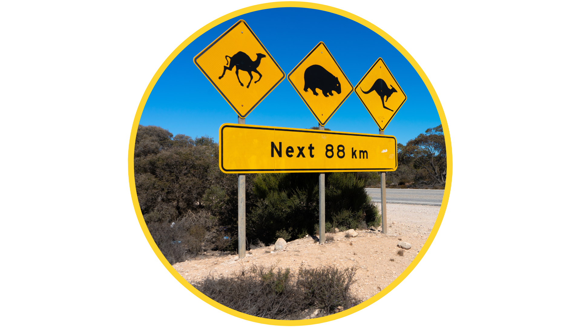 Do 'wildlife ahead' signs actually prevent collisions between cars and ...