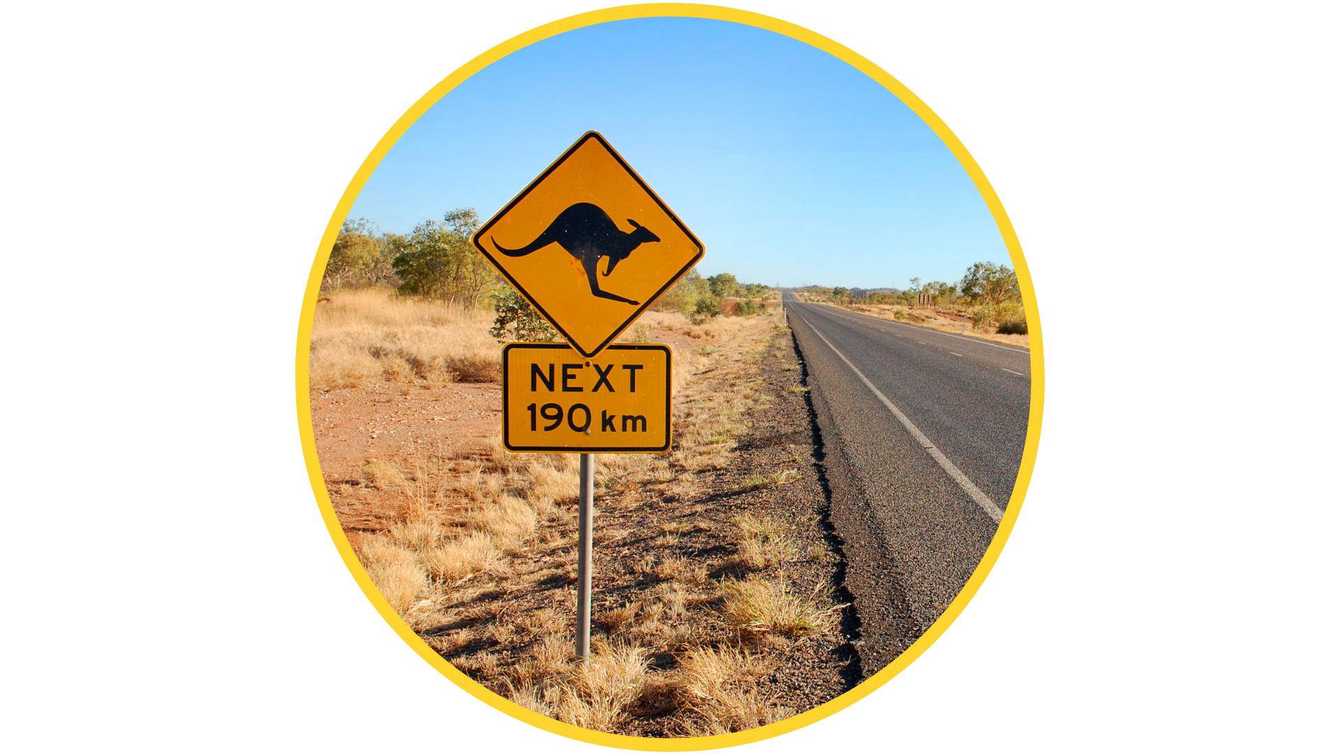 Do 'wildlife ahead' signs actually prevent collisions between cars and ...