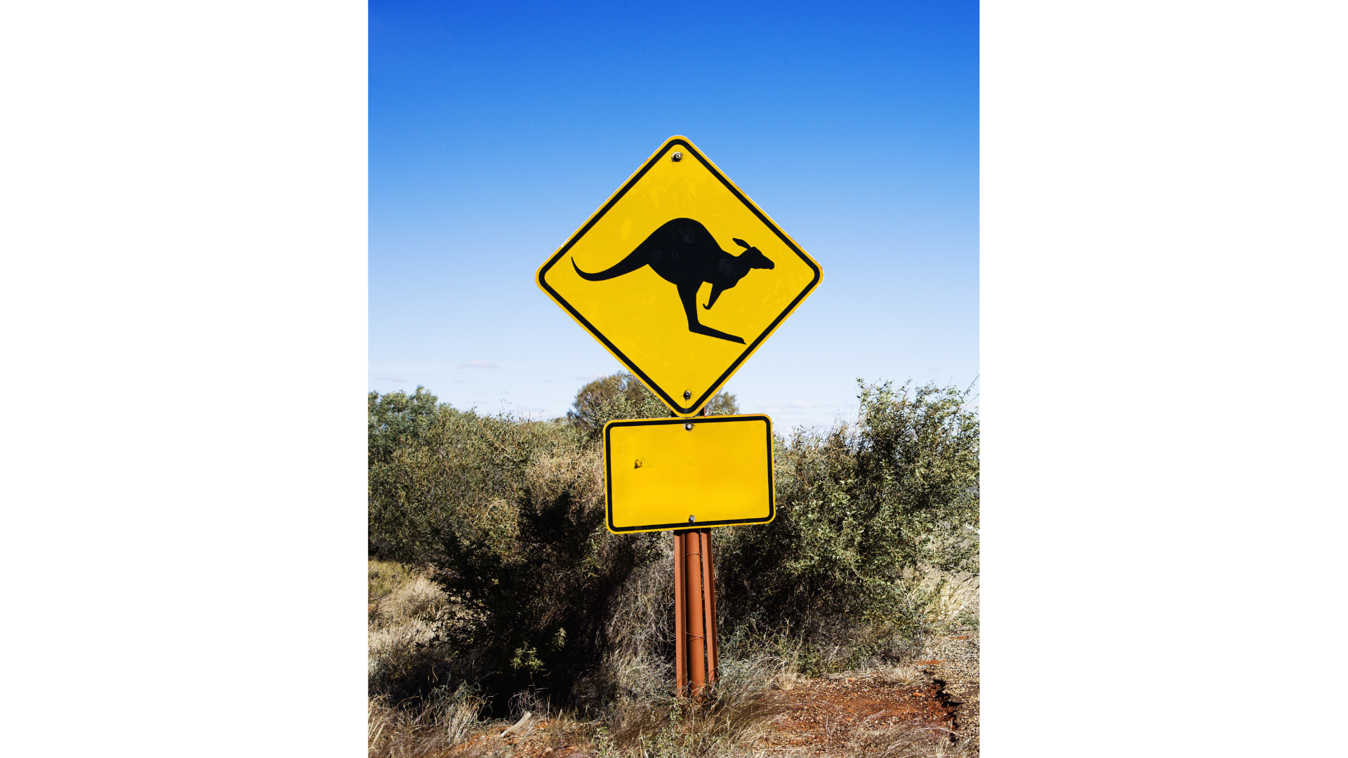 Do 'wildlife ahead' signs actually prevent collisions between cars and ...
