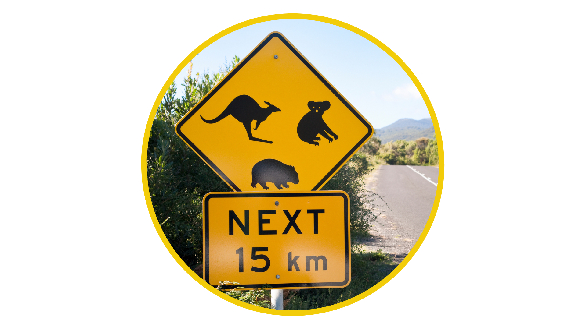 Do 'wildlife ahead' signs actually prevent collisions between cars and ...