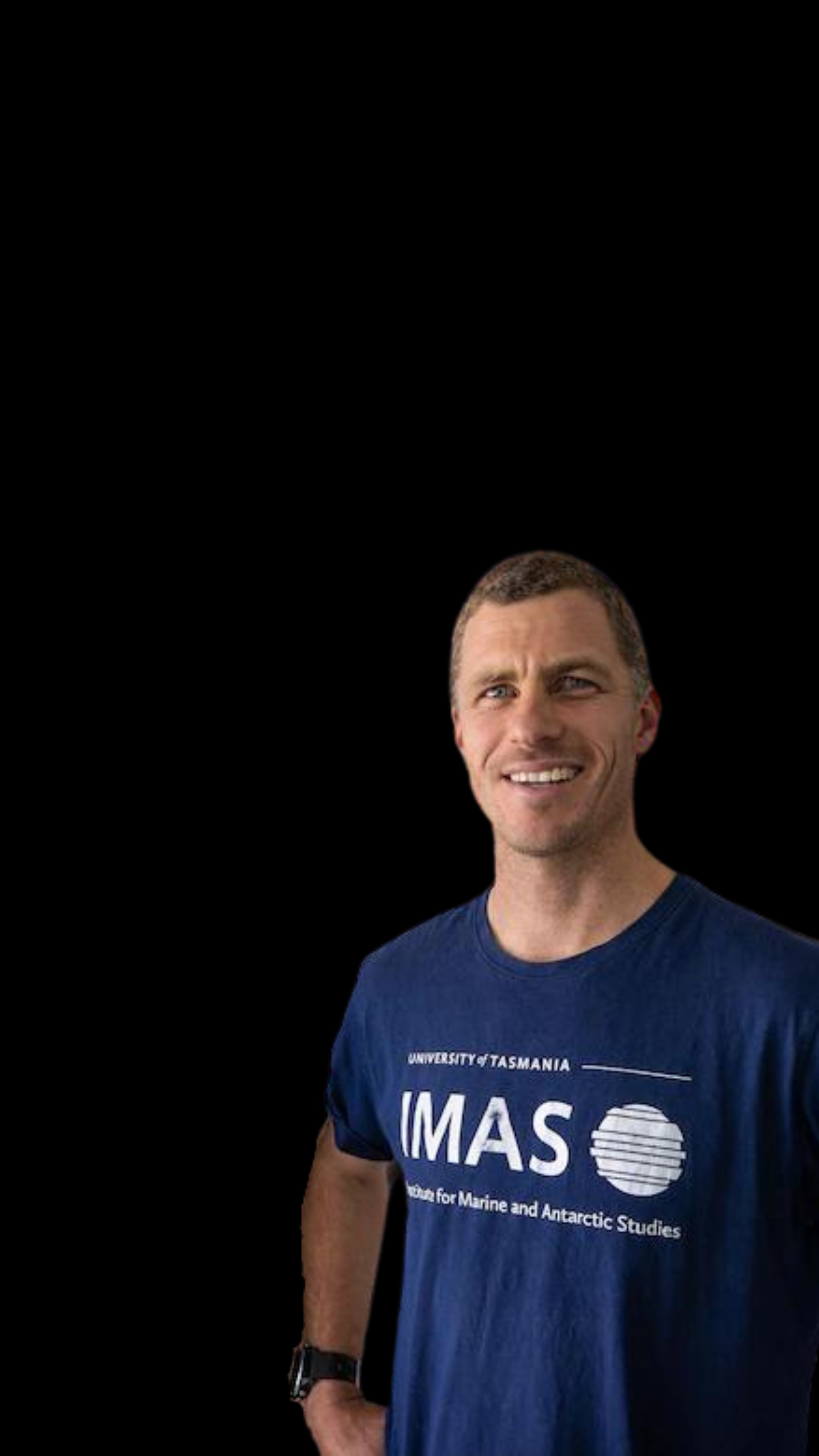 Scientists are trying to replant our underwater forests. Here’s why ...