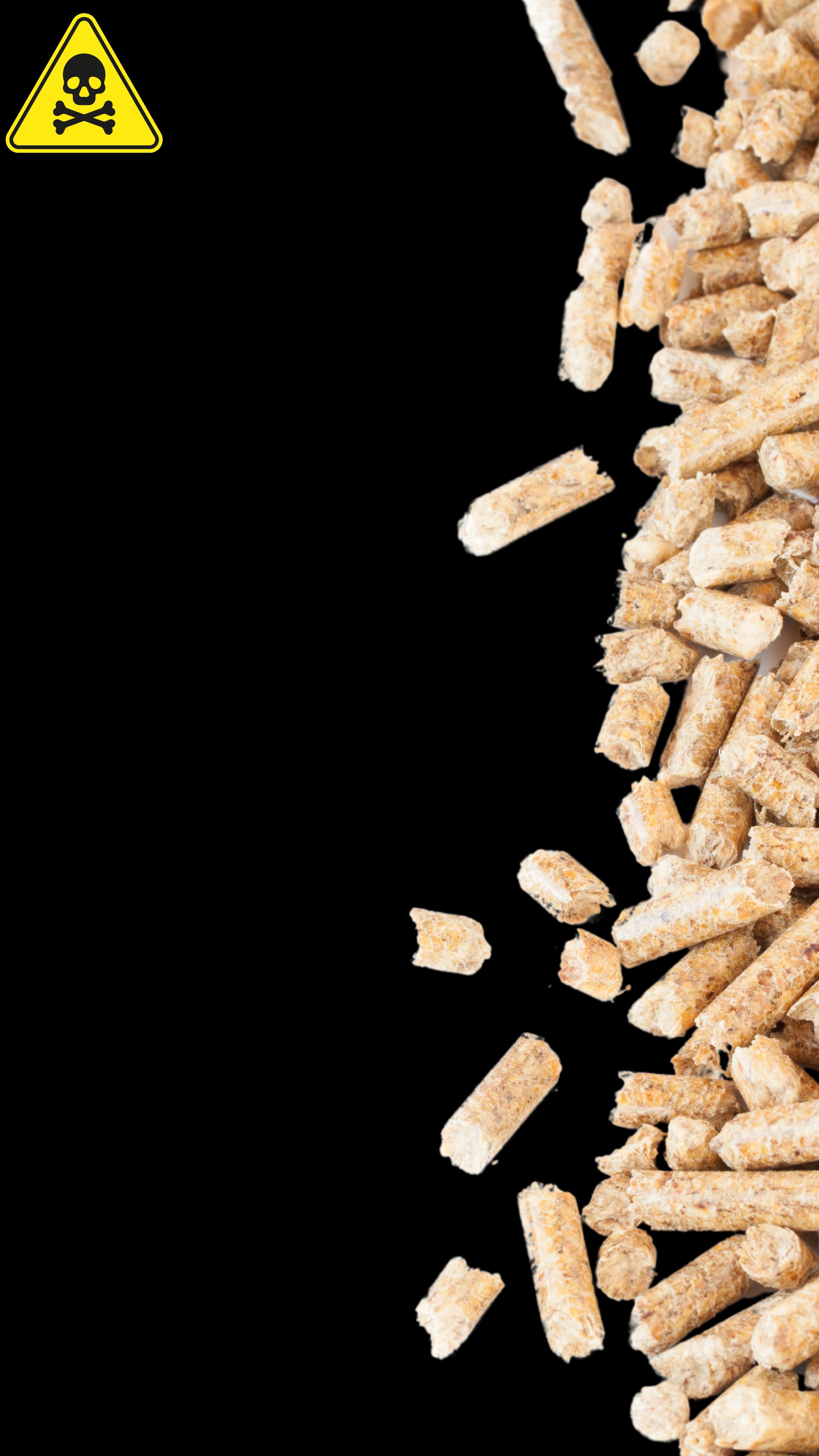 Is it time Australia banned toxic rat bait? Here’s what it’s doing to ...