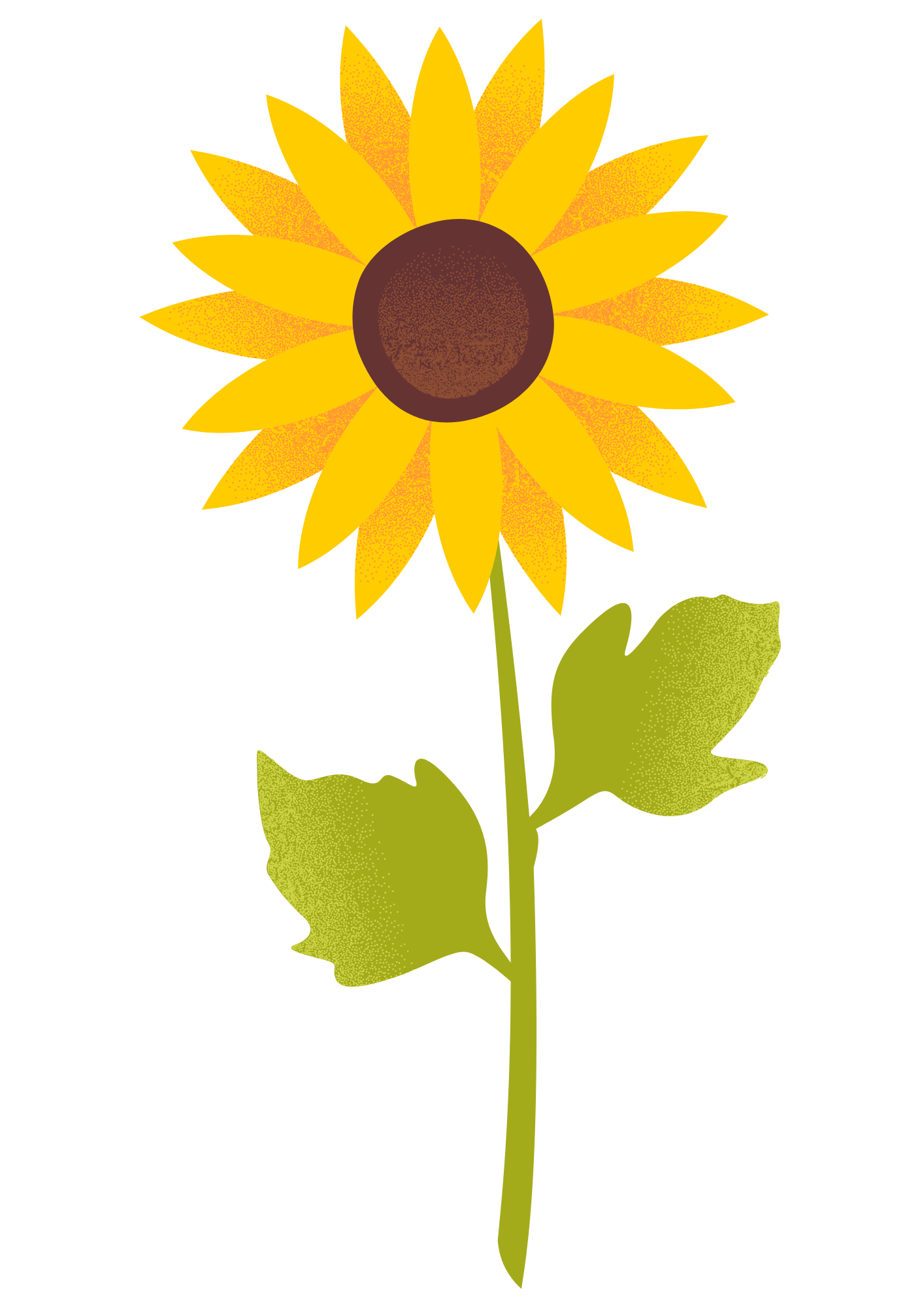 The hidden disability sunflower is popping up across the globe - ABC News