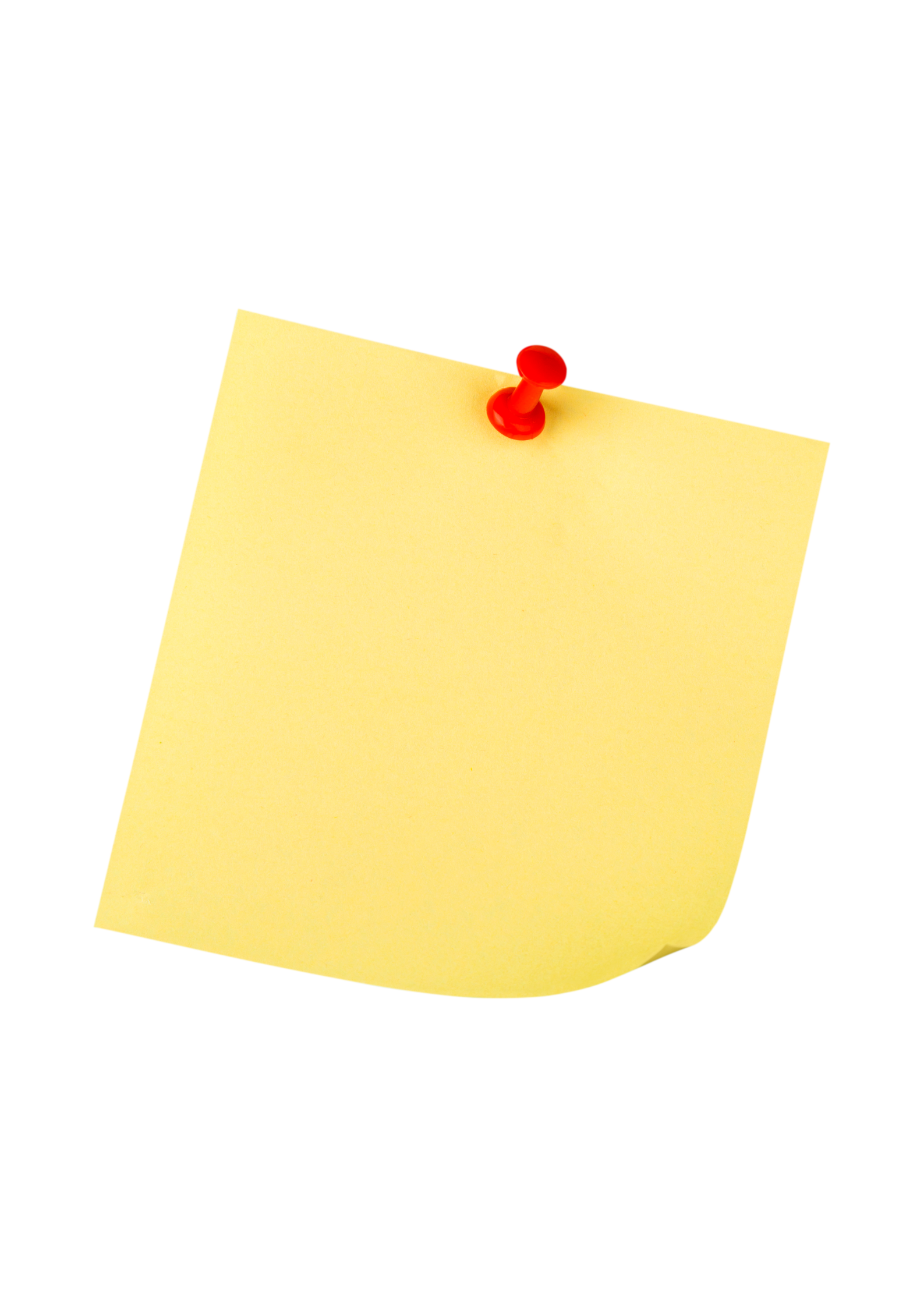 Harry Potter Stunt double - ABC News