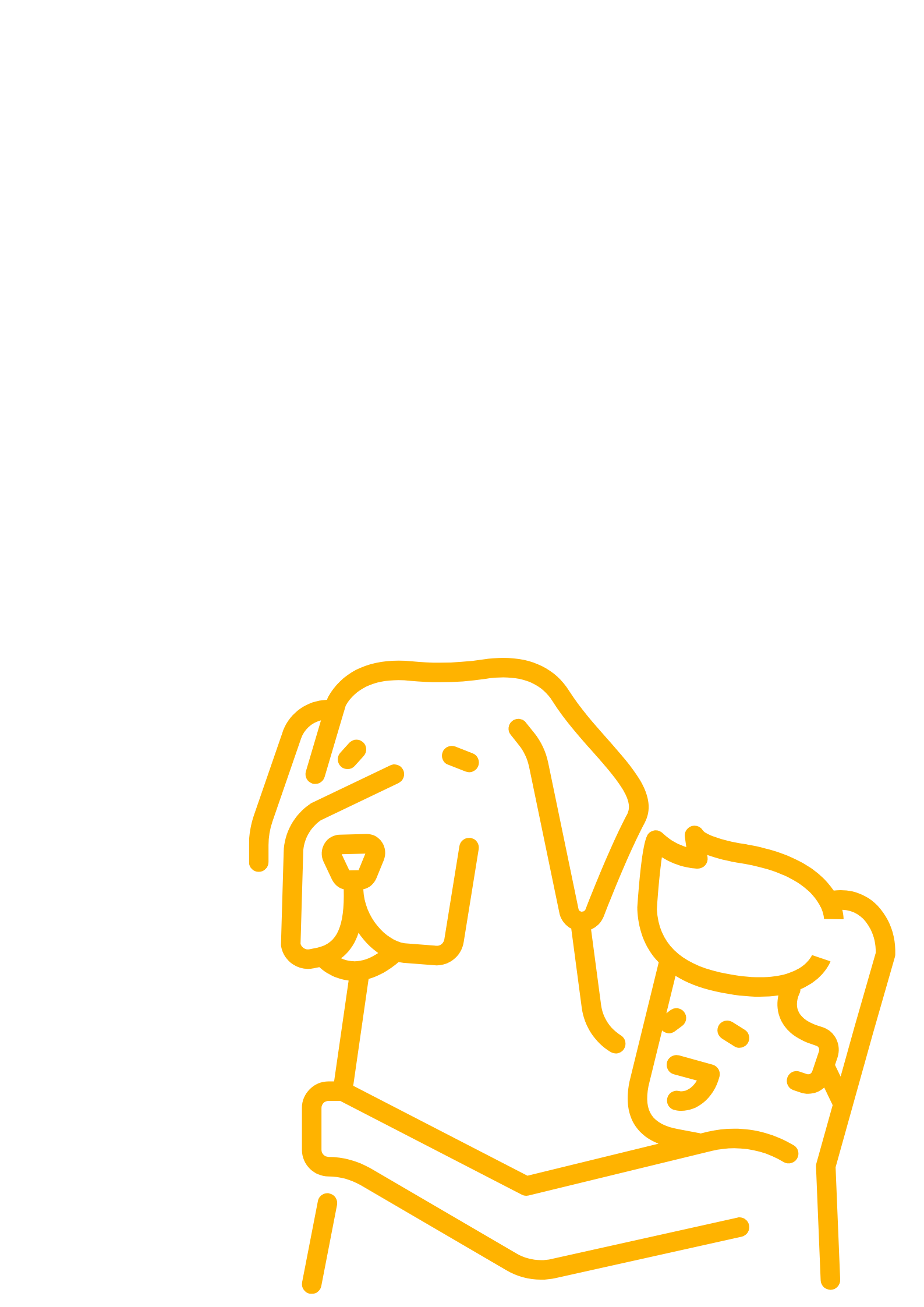 Alby the therapy dog - ABC News