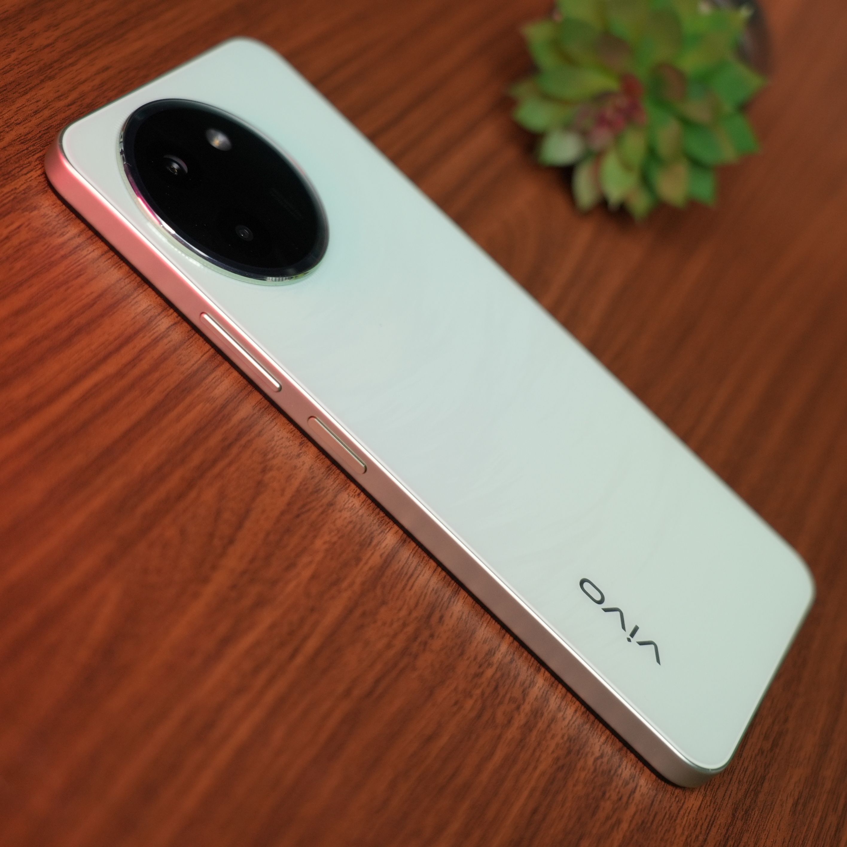 Vivo T3X 5G Review: The Affordable Powerhouse of November 2024? - Cashify